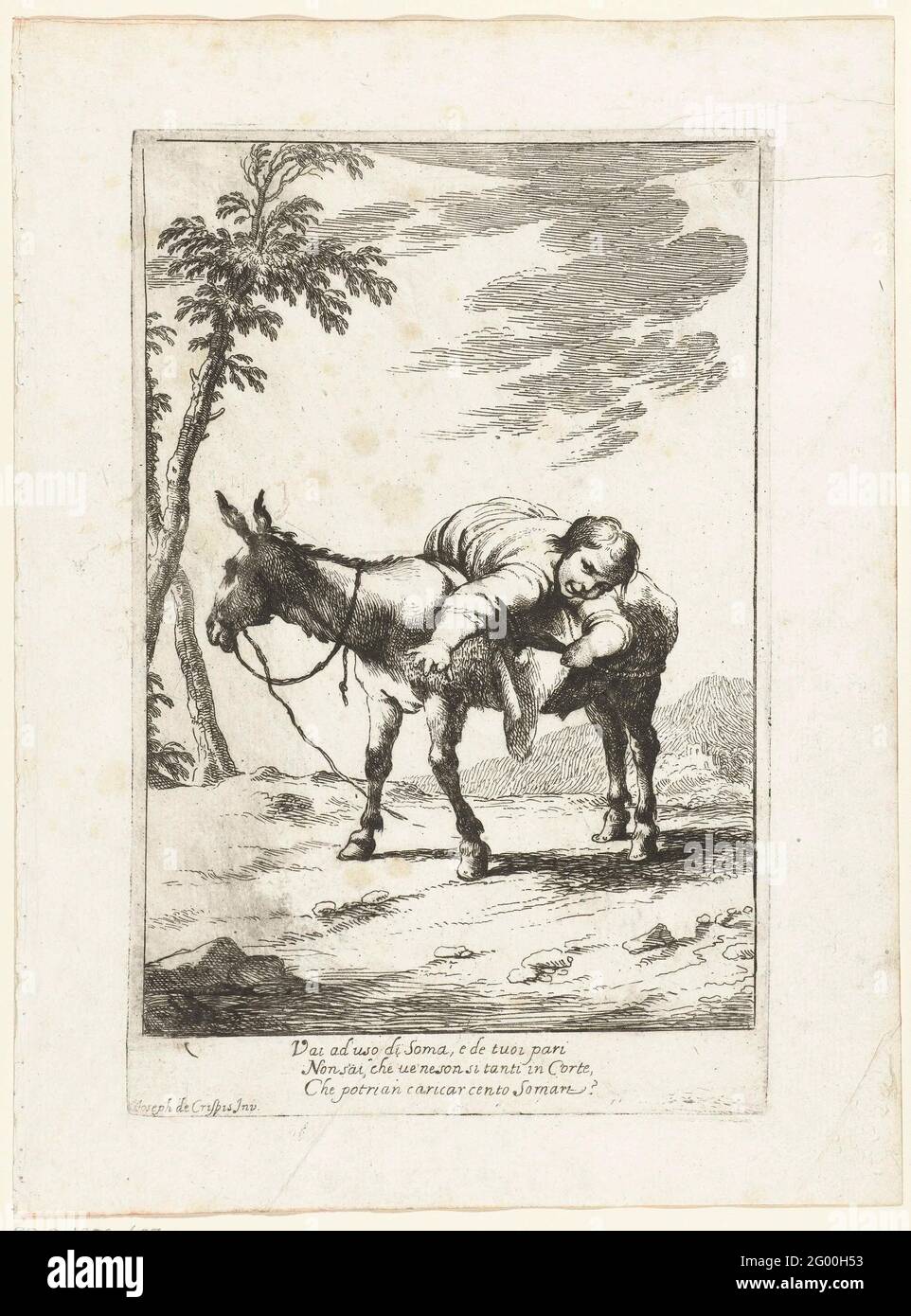 Three legged donkey hi-res stock photography and images - Alamy