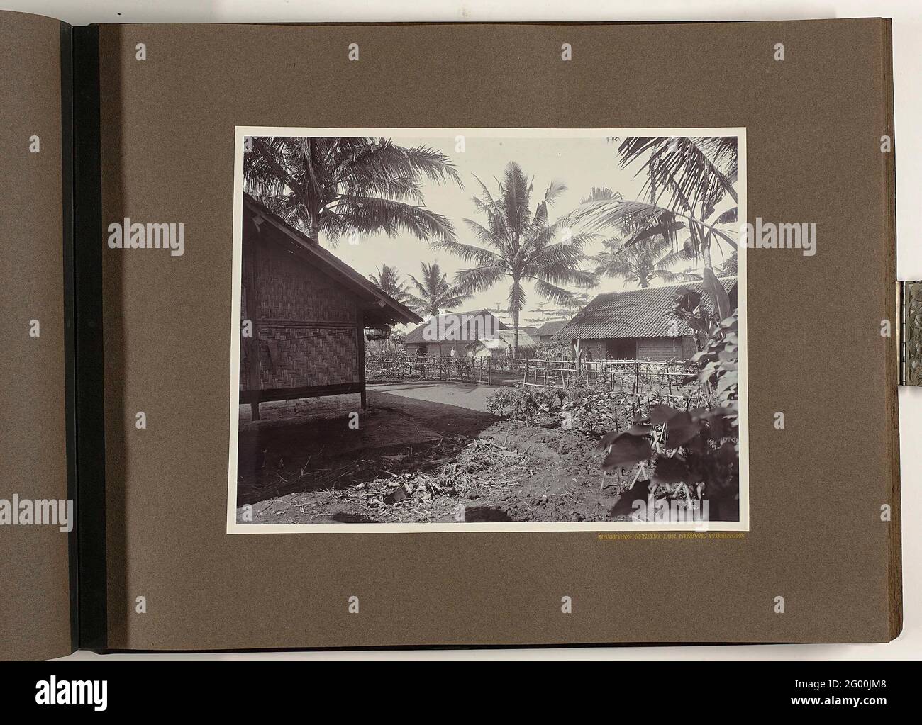 Genitri hi-res stock photography and images - Alamy