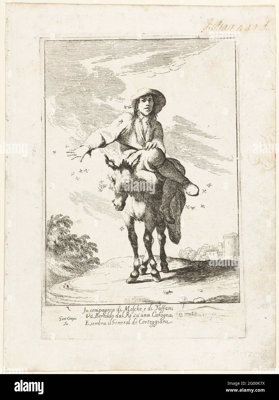 Three legged donkey hi-res stock photography and images - Alamy