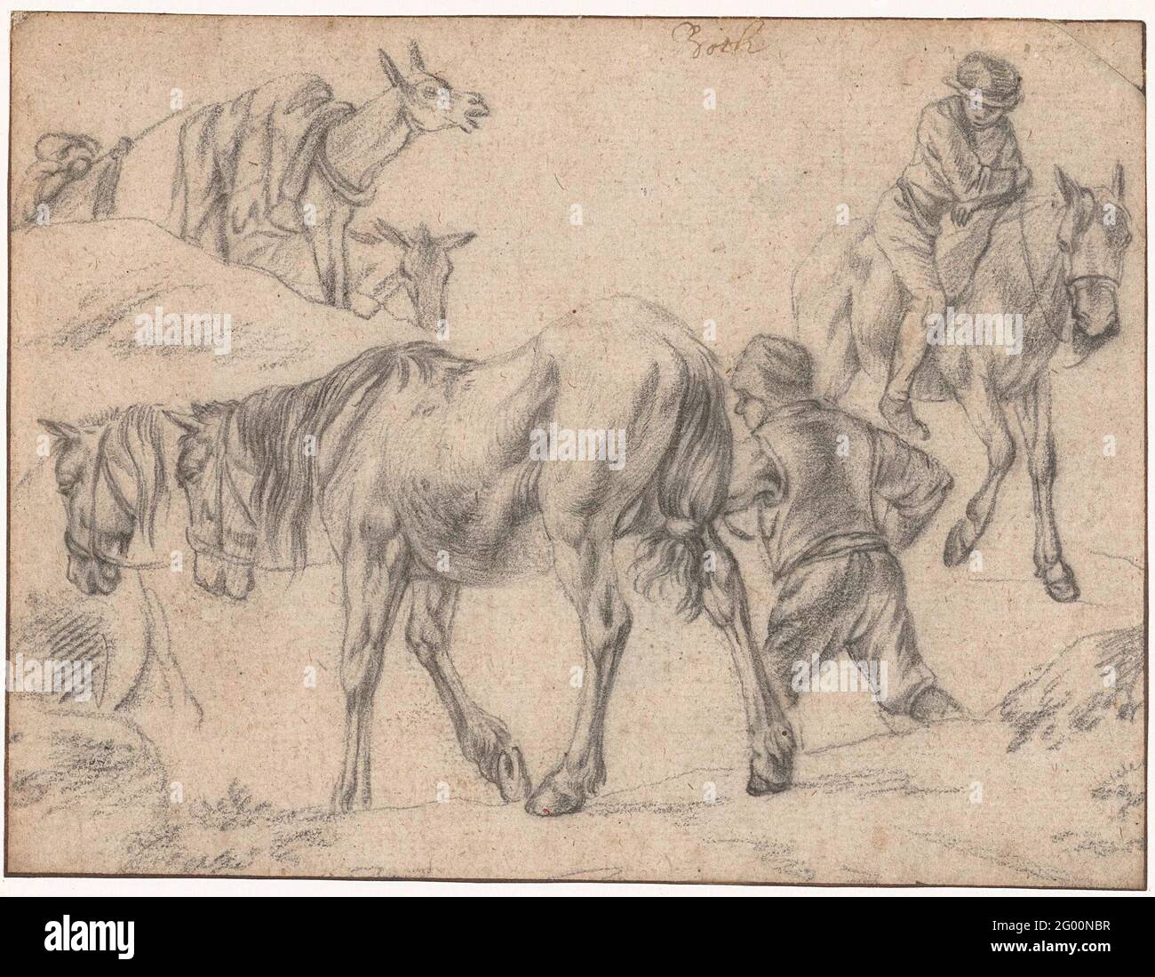 Study sheet with figures, horses and donkeys Stock Photo - Alamy
