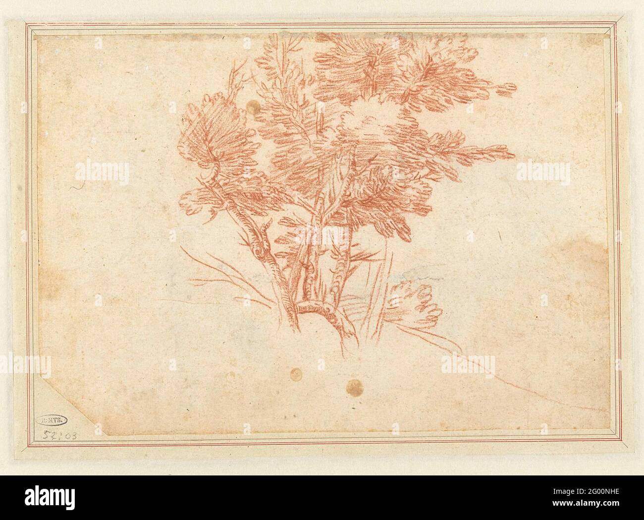 Study of a tree group Stock Photo - Alamy