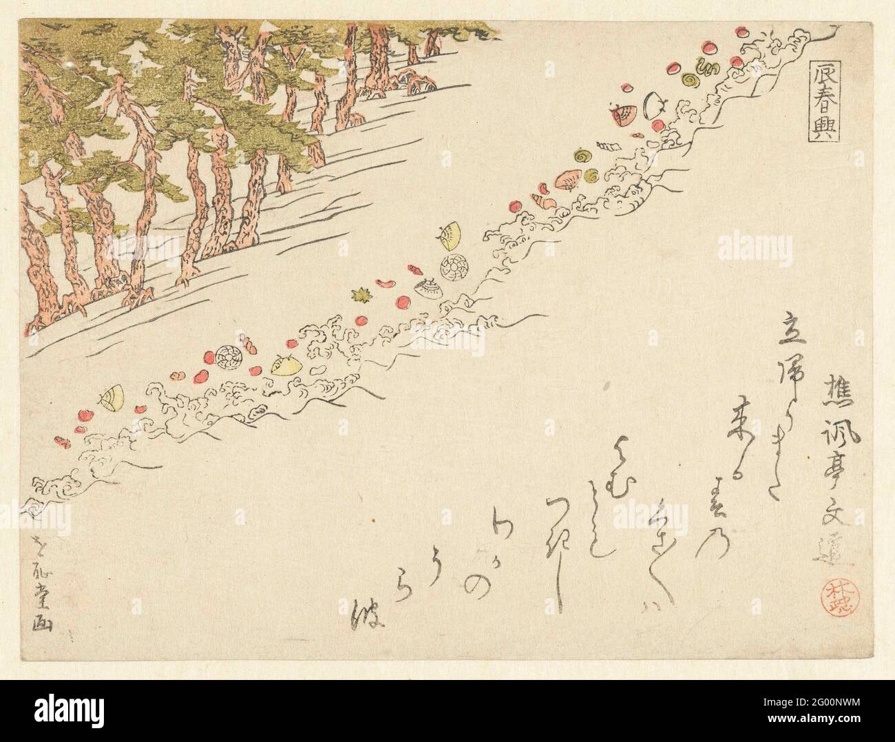 Shells on a beach with pine trees. A beach with pine trees, with the ...