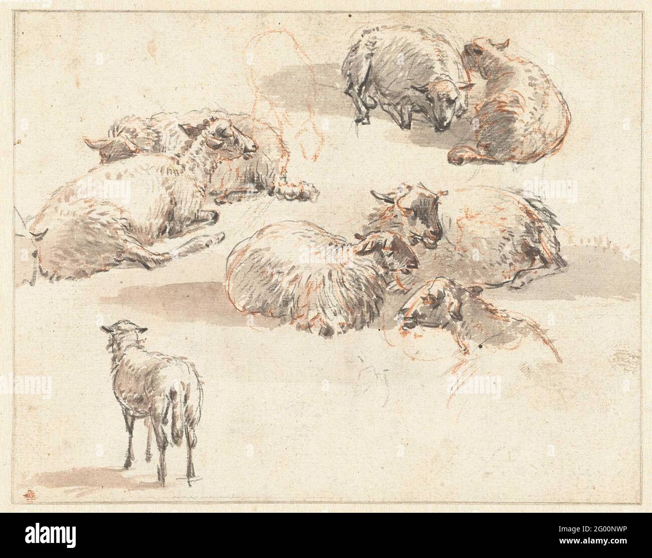 Sketch sheet with groups of sheep Stock Photo - Alamy