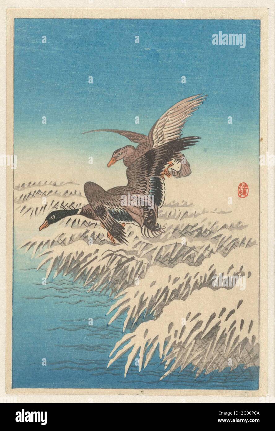 Couple flying above reed hi-res stock photography and images - Alamy