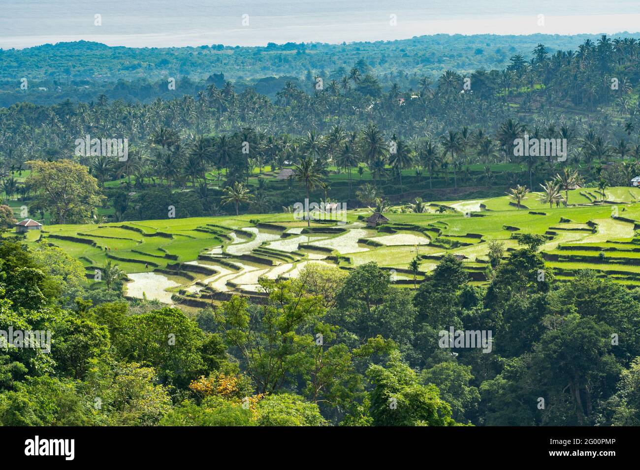 Beautiful rice terraced fields hi-res stock photography and images - Alamy