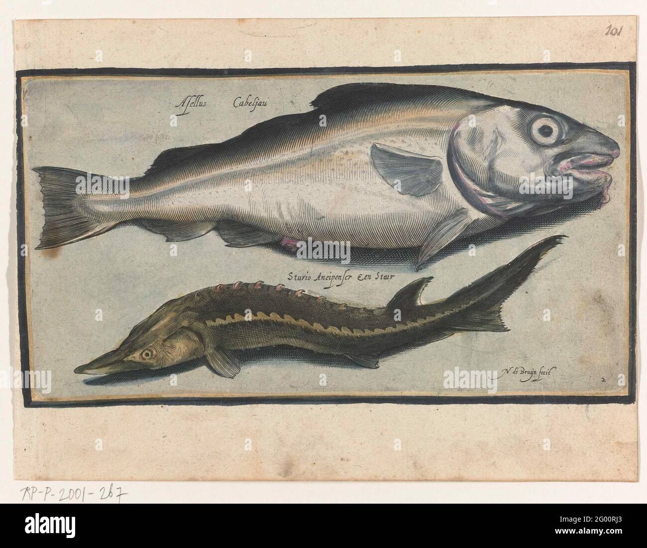 Cod and sturgeon hi-res stock photography and images - Alamy