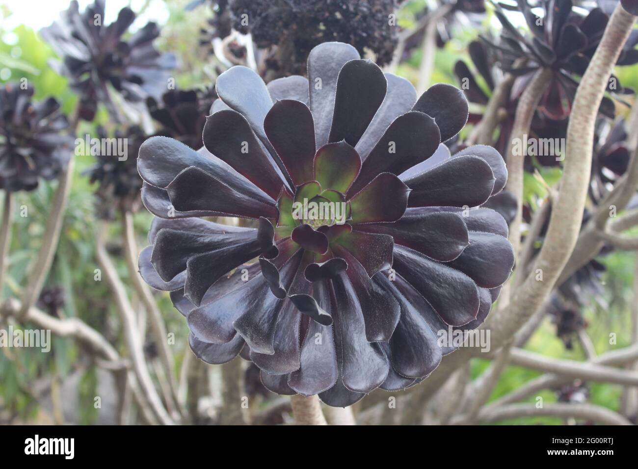 Unedited nature photo hi-res stock photography and images - Alamy