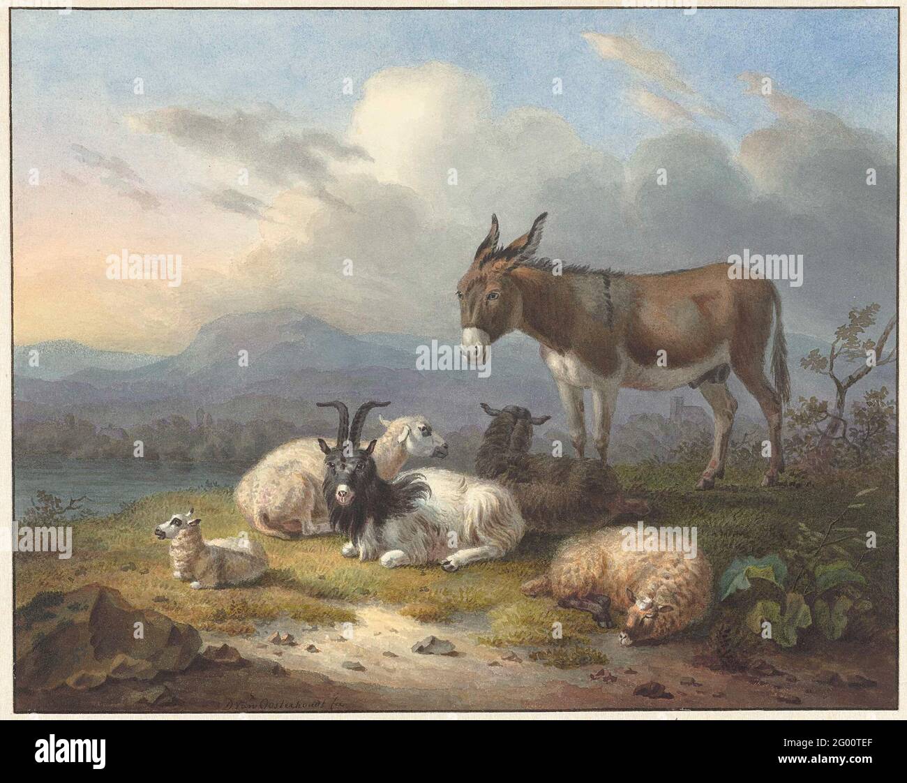 Landscape with donkey, goat and sheep Stock Photo - Alamy