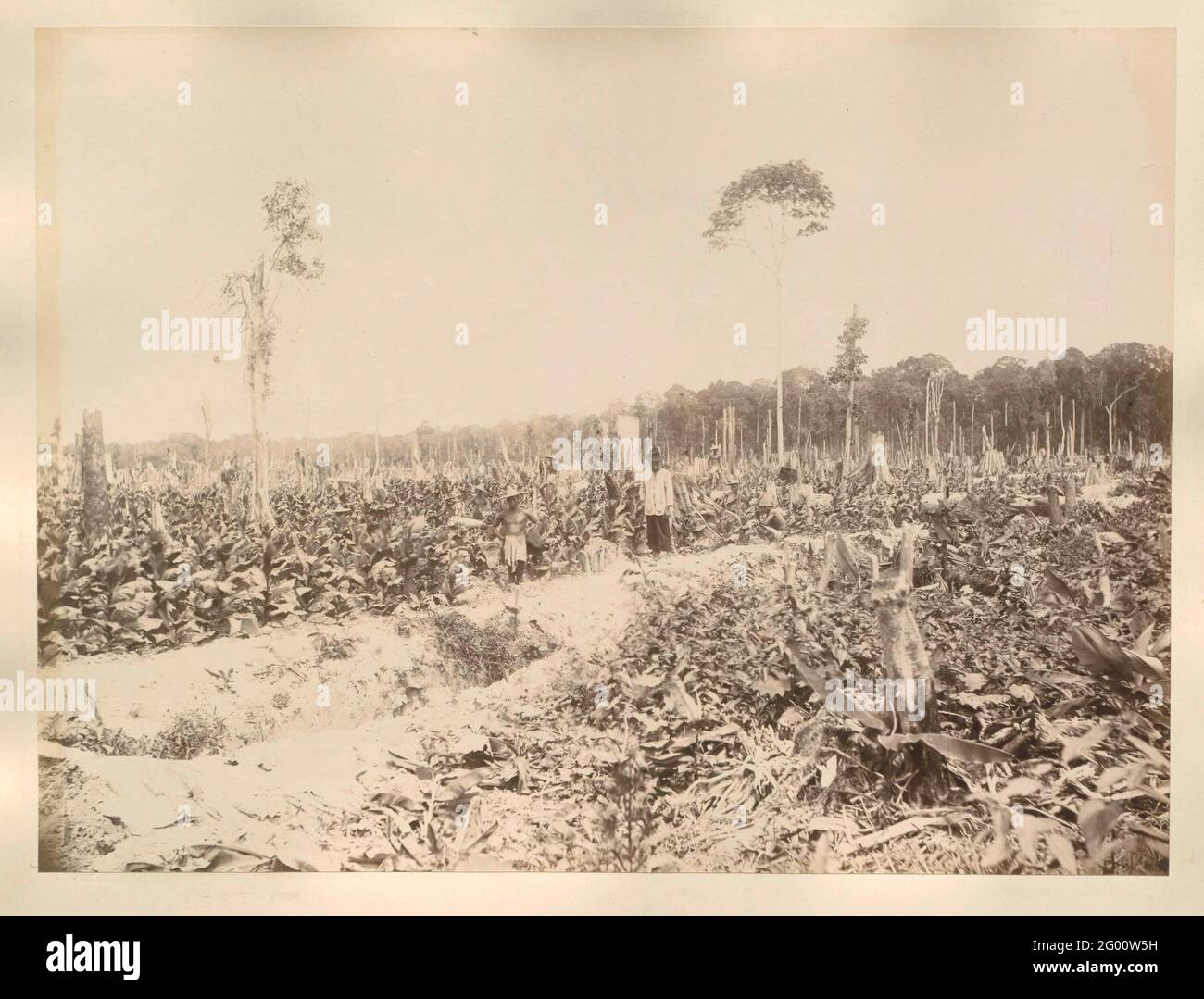 Chinese servants hi-res stock photography and images - Alamy