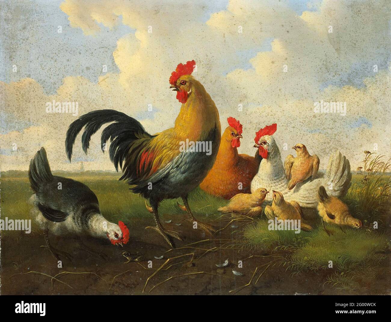 A rooster with hens and chicks. Chickens: a rooster with hens and ...