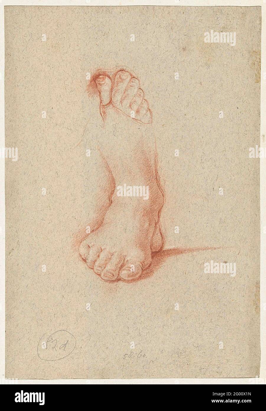 Two studies of a foot Stock Photo - Alamy