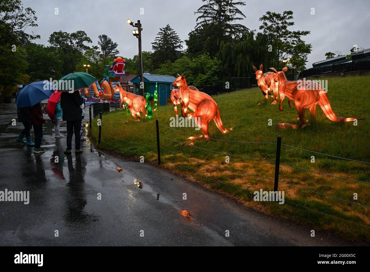 Providence, USA. 30th May, 2021. Attendees look at the kangaroo lantern ...