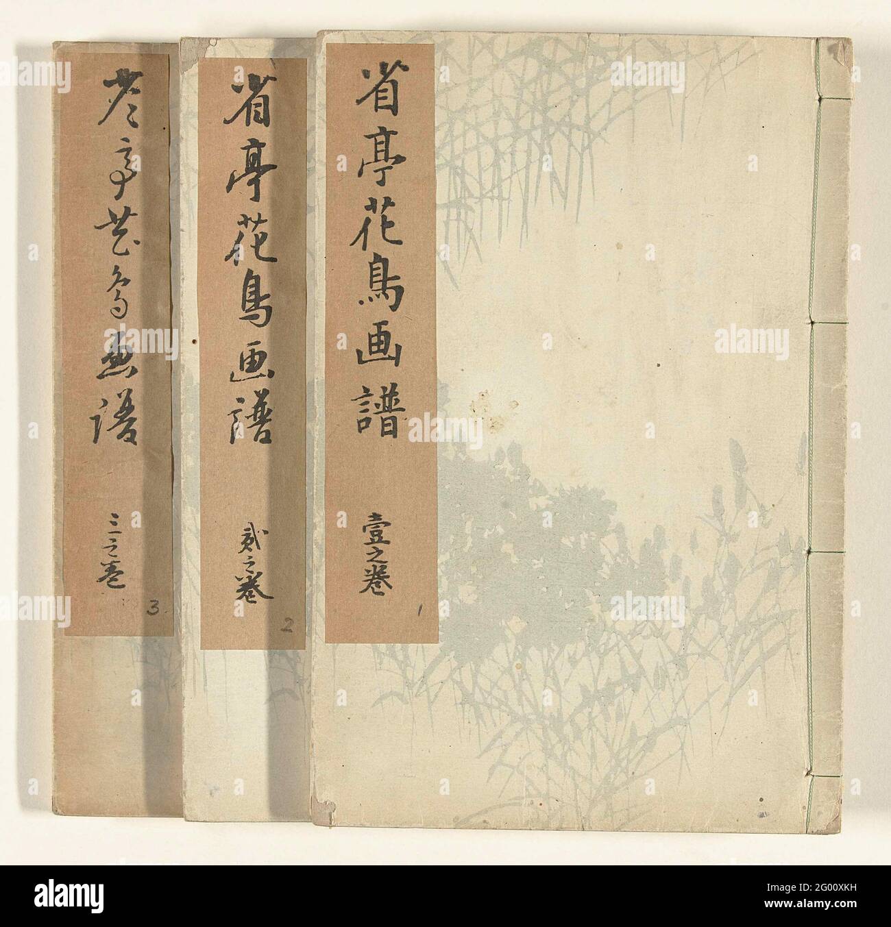 Sketches of flowers and birds from Shotei; Shotei Kacho Gafu; Seitei ...