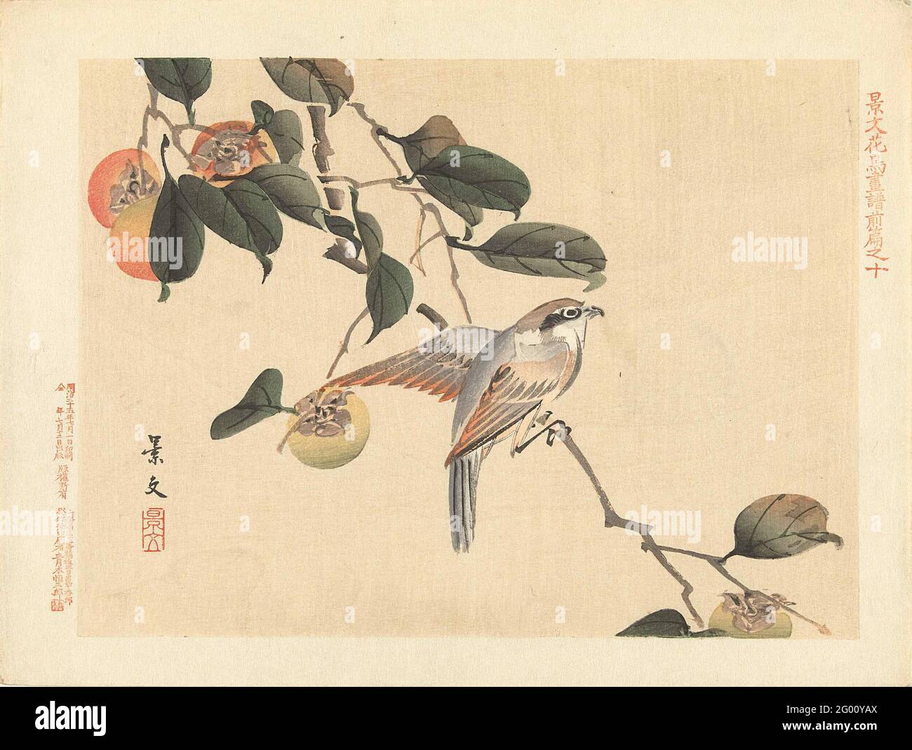 Bird and khaki; Flower and bird sketches of Beibun part one; Keibun ...