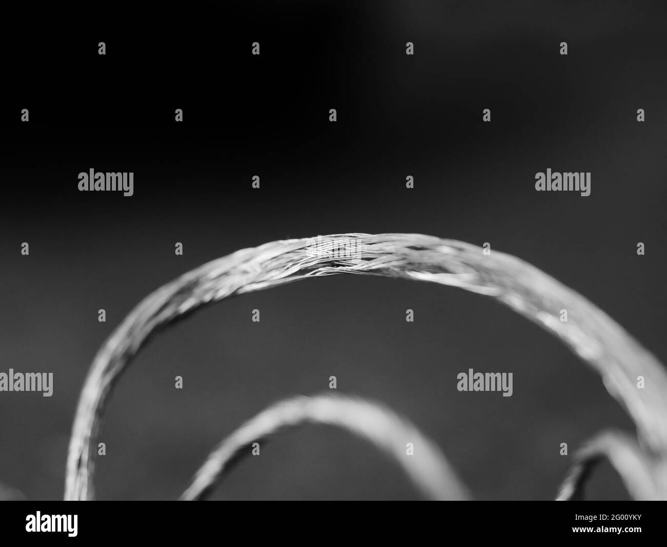 Coil of electrical wires Black and White Stock Photos & Images - Alamy