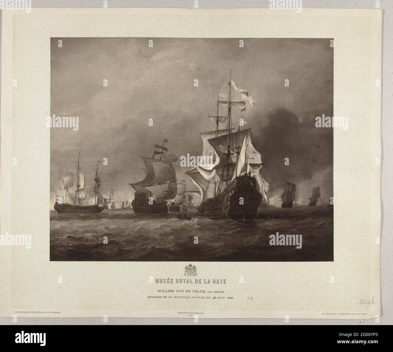 Photo reproduction of the painting by Willem van de Velde The young ...