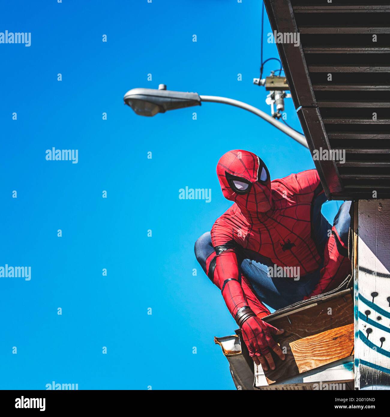 Spidey hi-res stock photography and images - Alamy