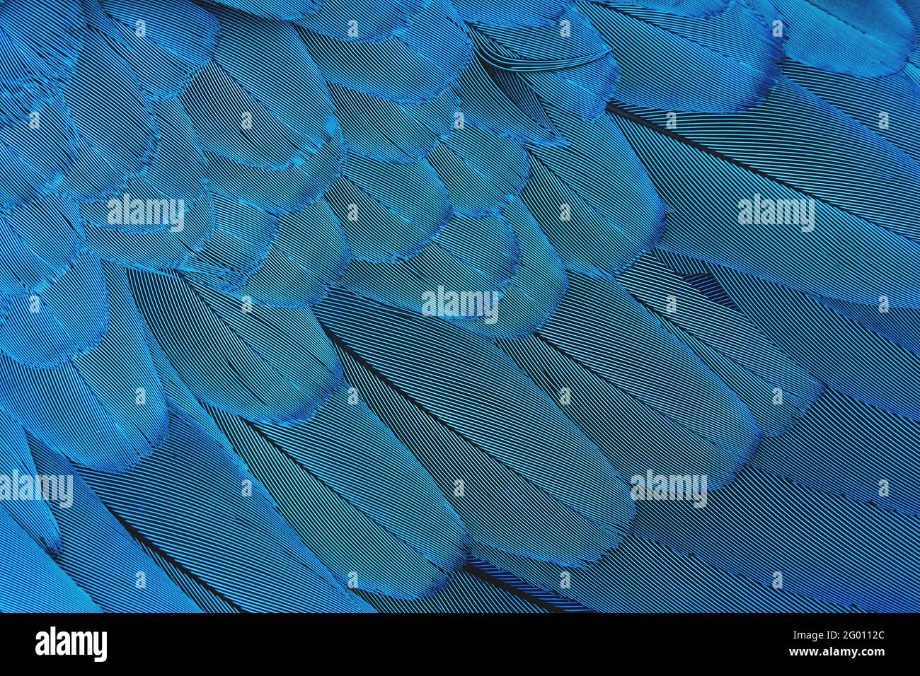 Blue luxury texture hi-res stock photography and images - Alamy