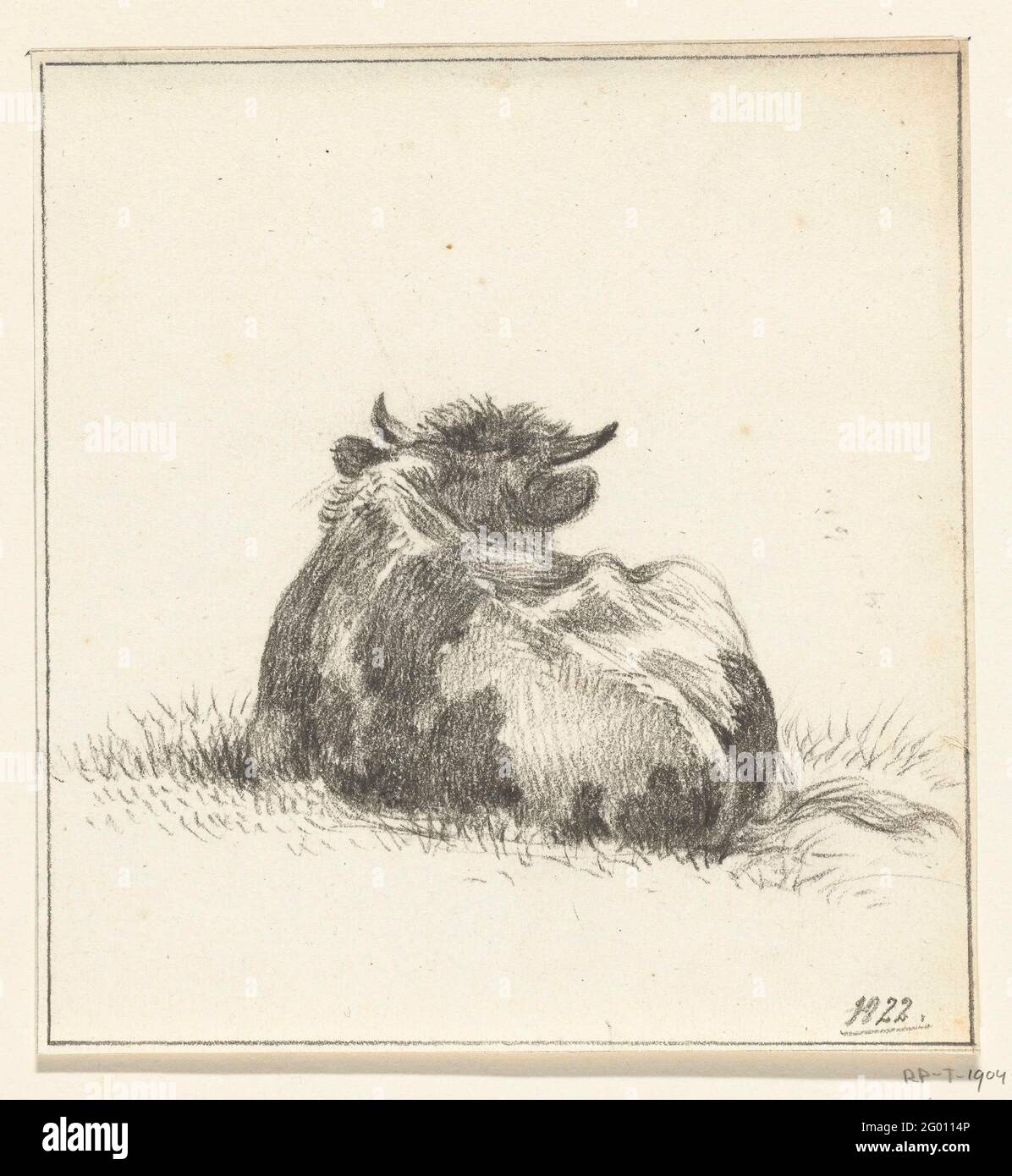 Lying cow, from behind Stock Photo - Alamy