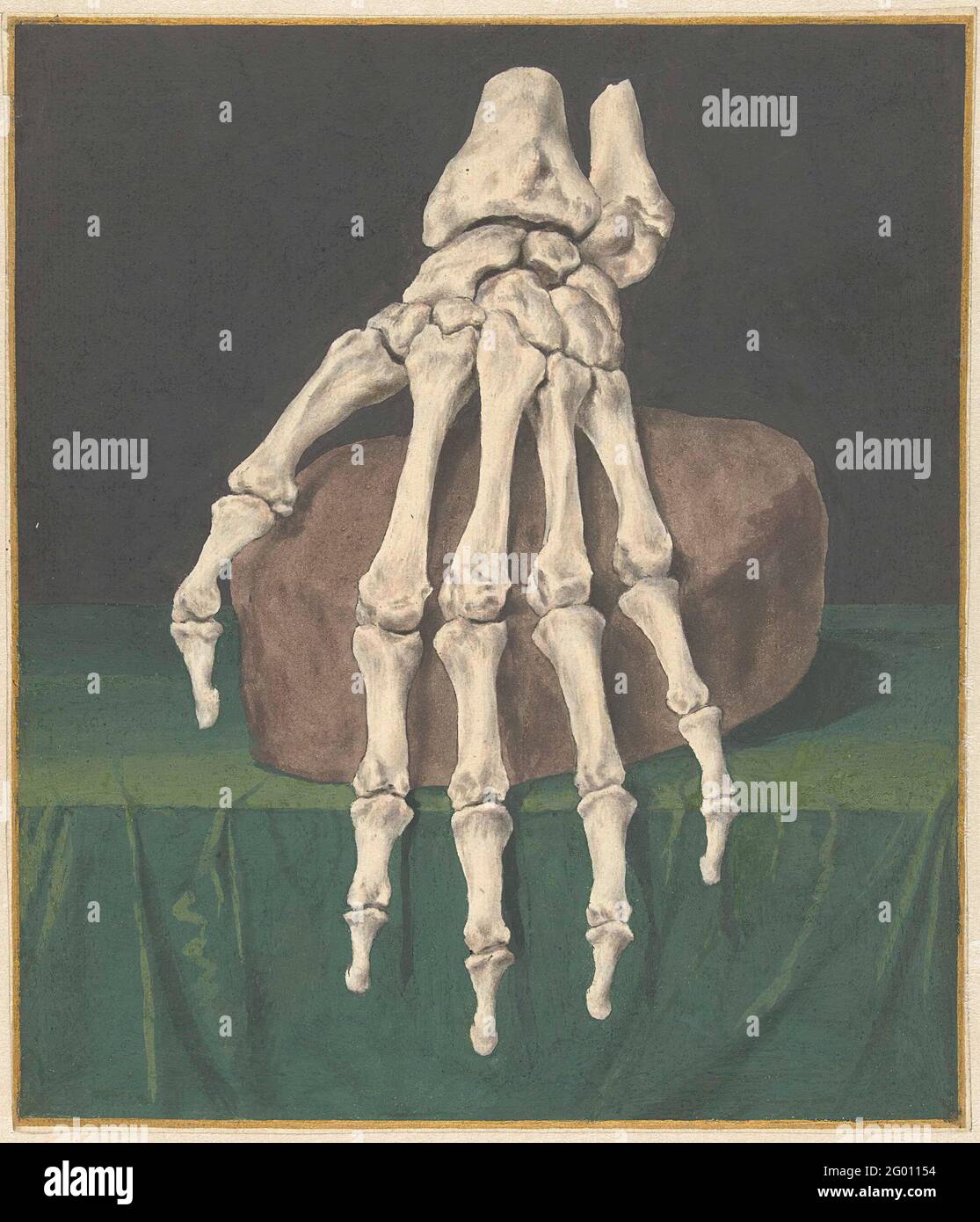 Hand anatomy diagram hi-res stock photography and images - Alamy