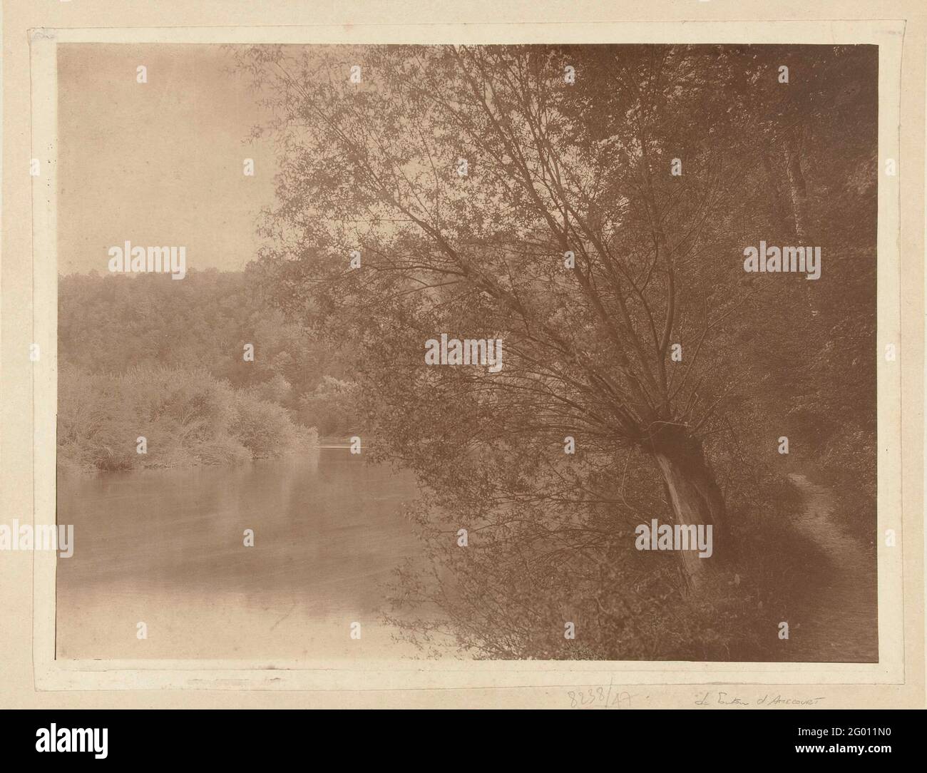 River landscape with trees Stock Photo - Alamy