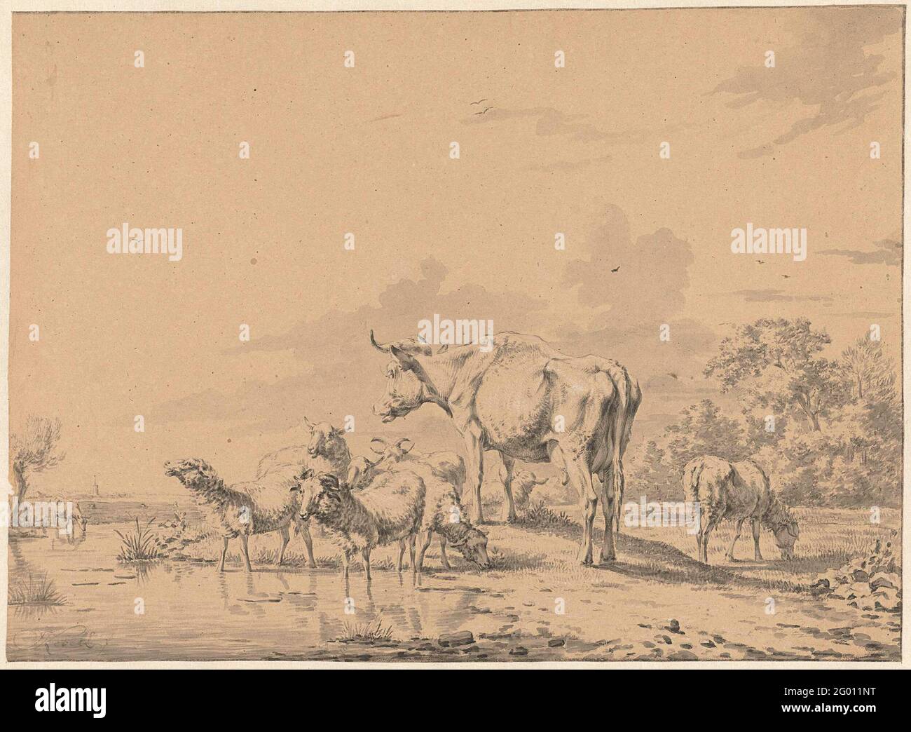 Cow between sheep on waterfront Stock Photo - Alamy
