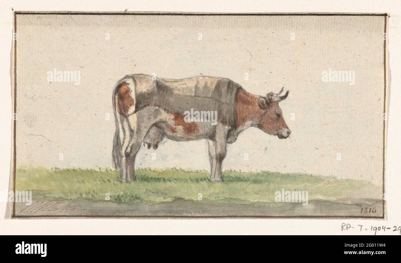 Cow head right illustration hi-res stock photography and images - Alamy