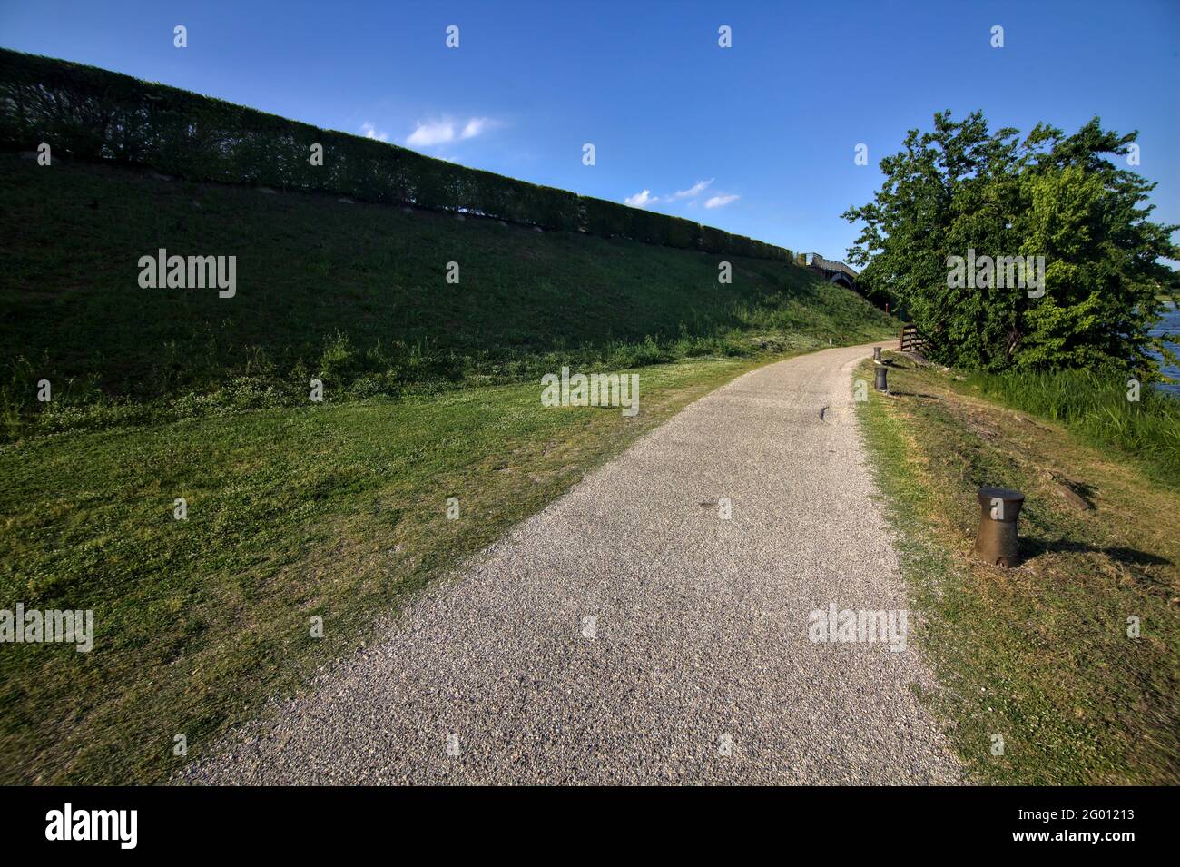 Path on the riverside in summer at sunset Stock Photo - Alamy