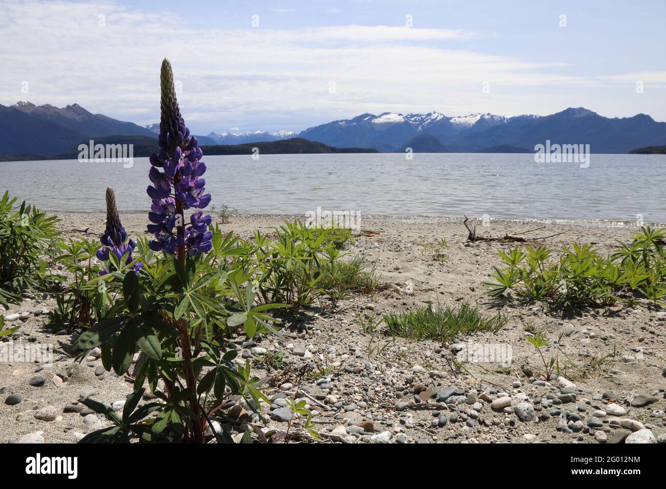 Lake Manapouri / Lake Manapouri Stock Photo - Alamy