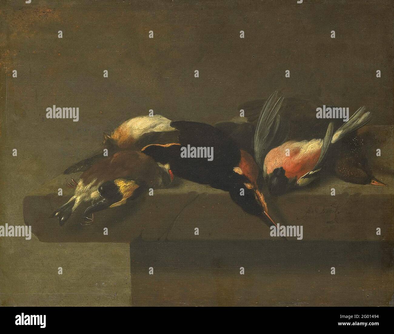 Dead Birds. Still life of a group of dead birds lying on a stone plinth ...