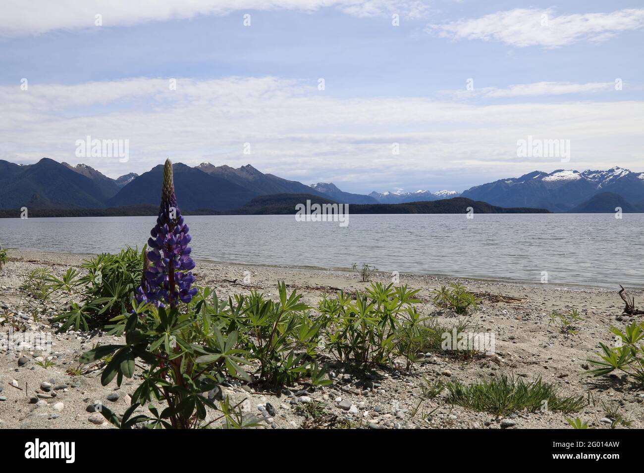 Lake Manapouri / Lake Manapouri Stock Photo - Alamy