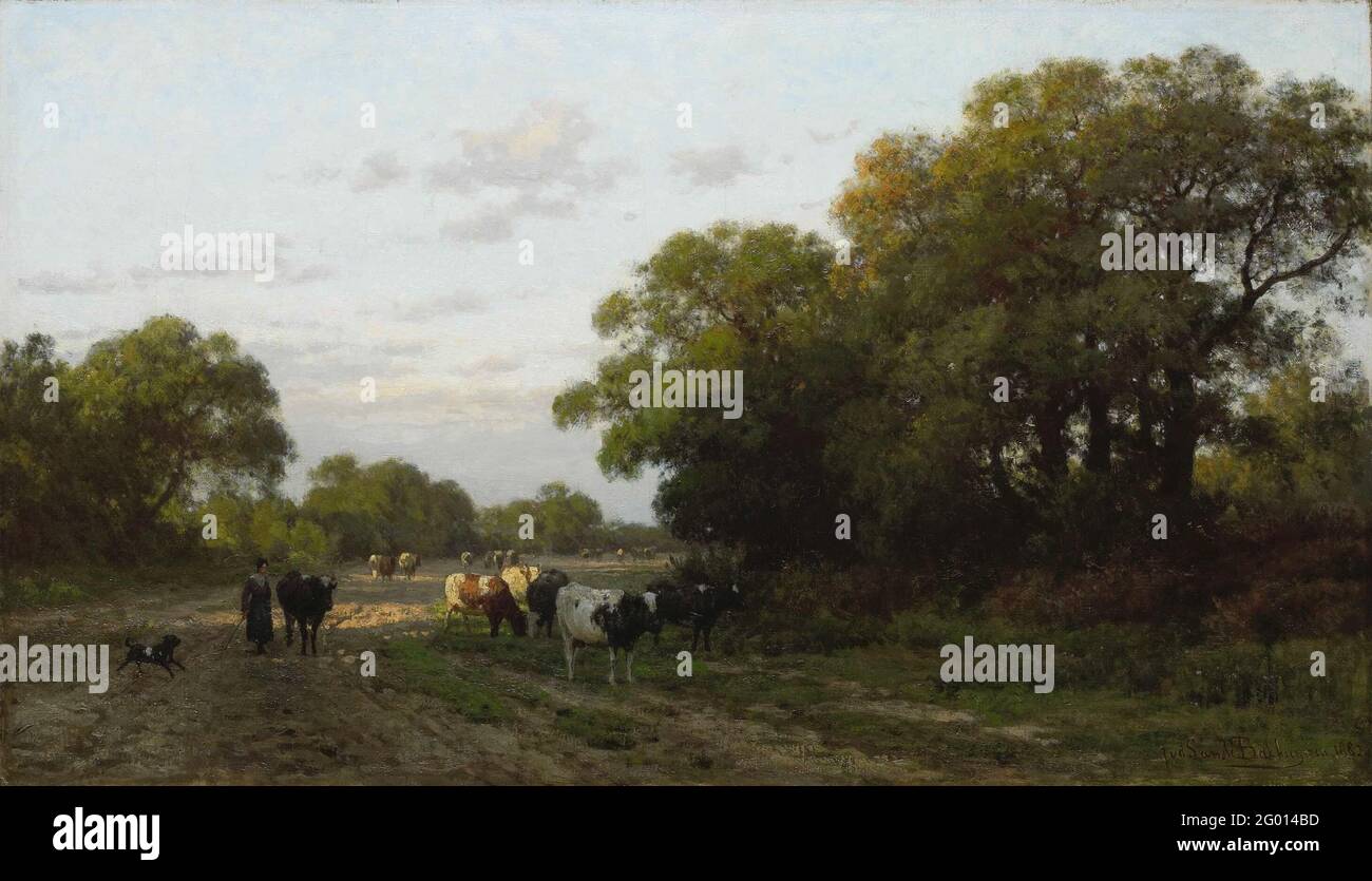 Landscape in Drenthe. Landscape in Drenthe. A woman drives a herd of ...