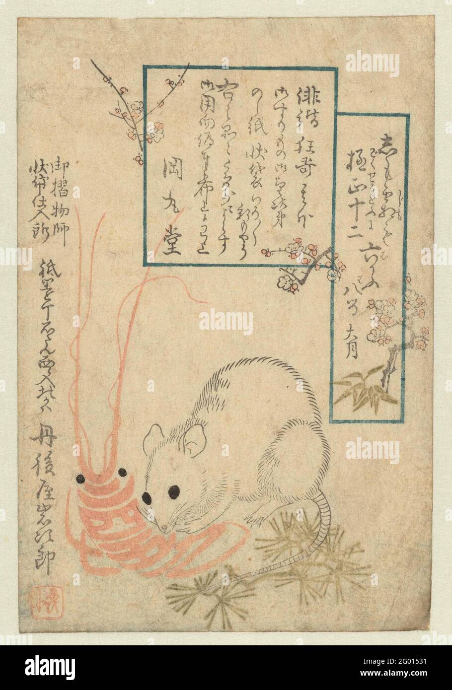 Rat with crayfish. A rat gnaws on a crayfish. In the body of the ...
