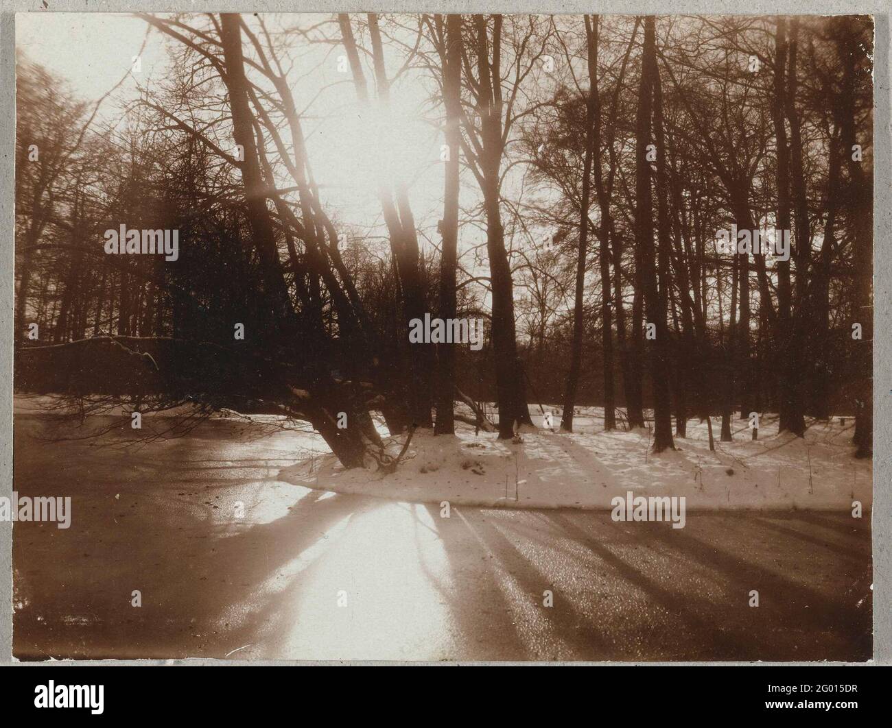 Face in the forest in The Hague; Haagse Bos Stock Photo - Alamy