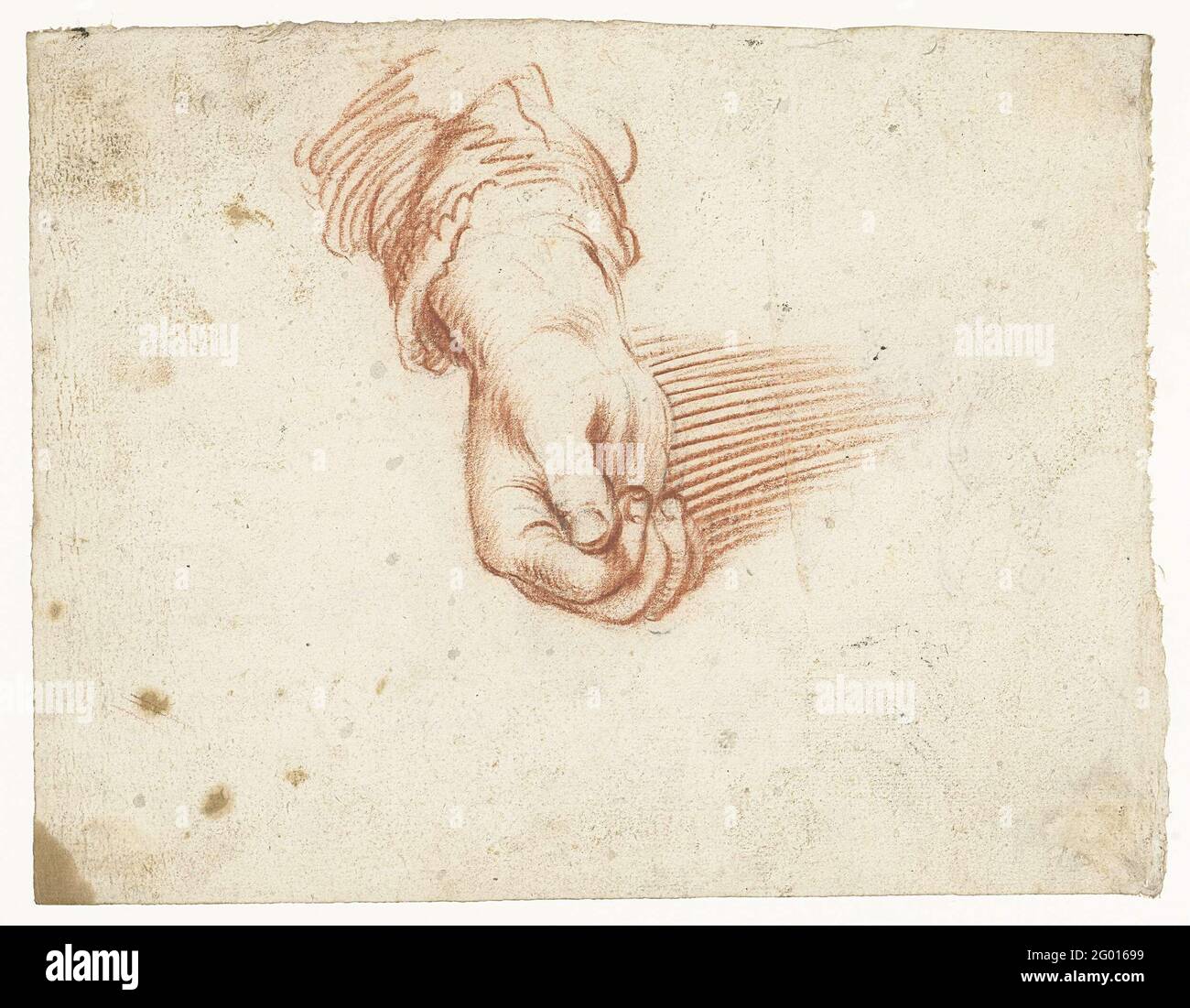Study of a closed hand Stock Photo - Alamy