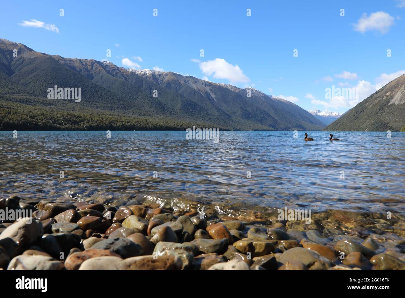 Lake Rotoiti / Lake Rotoiti Stock Photo - Alamy
