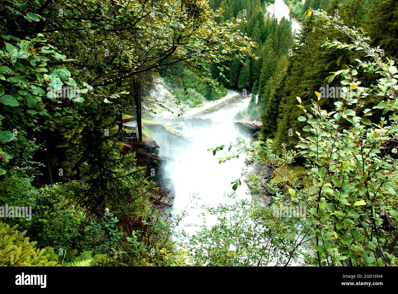Amazing views of trees in the forests of the Austria Mountains Stock ...