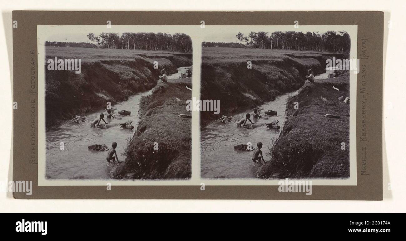 Boys in the river at bathing carbuilding; S 5 No 59. Bathing ...