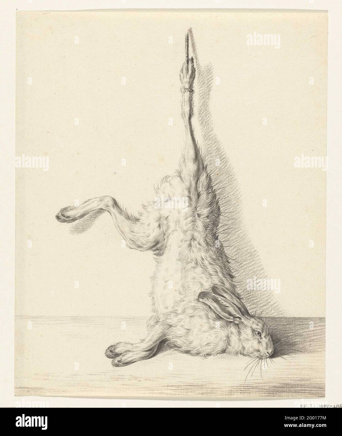 Dead hare, hanging from a hind leg Stock Photo - Alamy