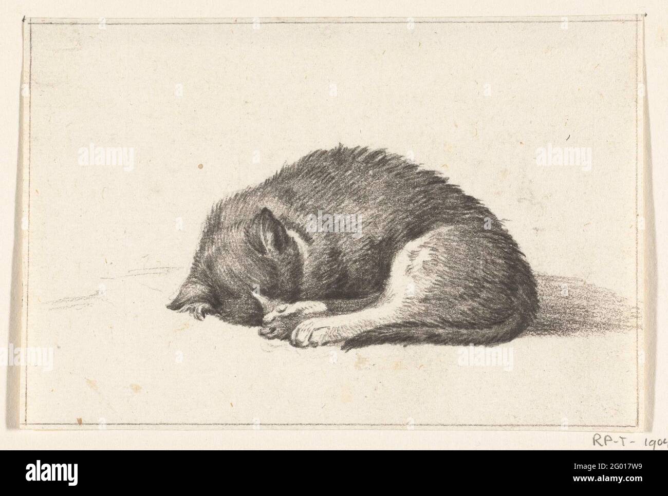 Rolled up sleeping cat hi-res stock photography and images - Alamy