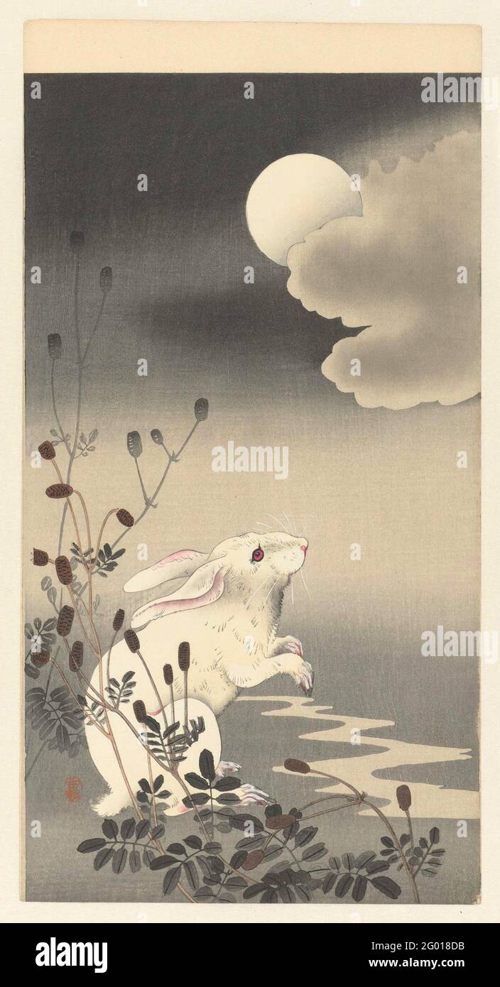 Rabbit at full moon. White rabbit, sitting on the hind legs, at a ...