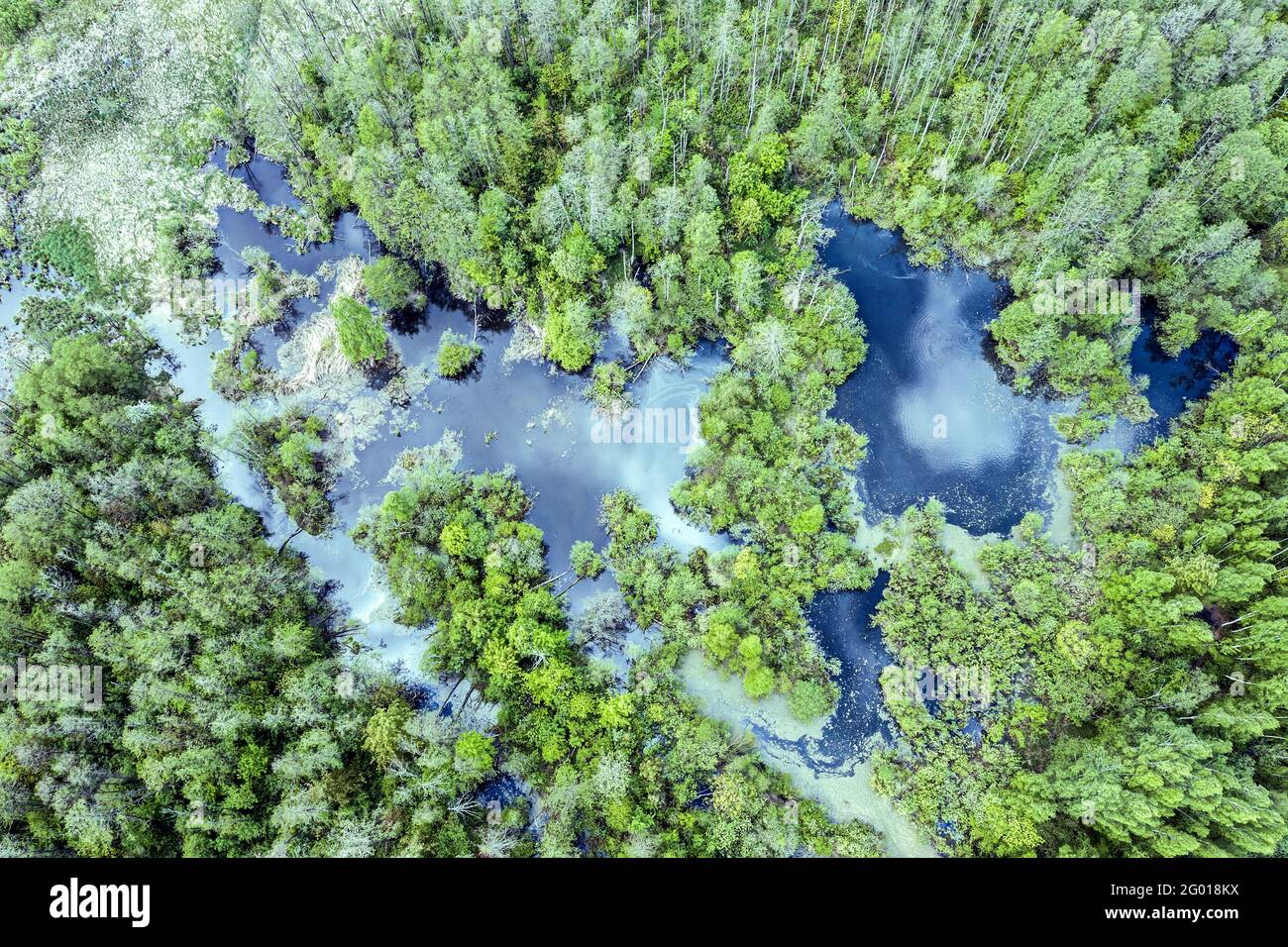 Aerial wetland hi-res stock photography and images - Alamy