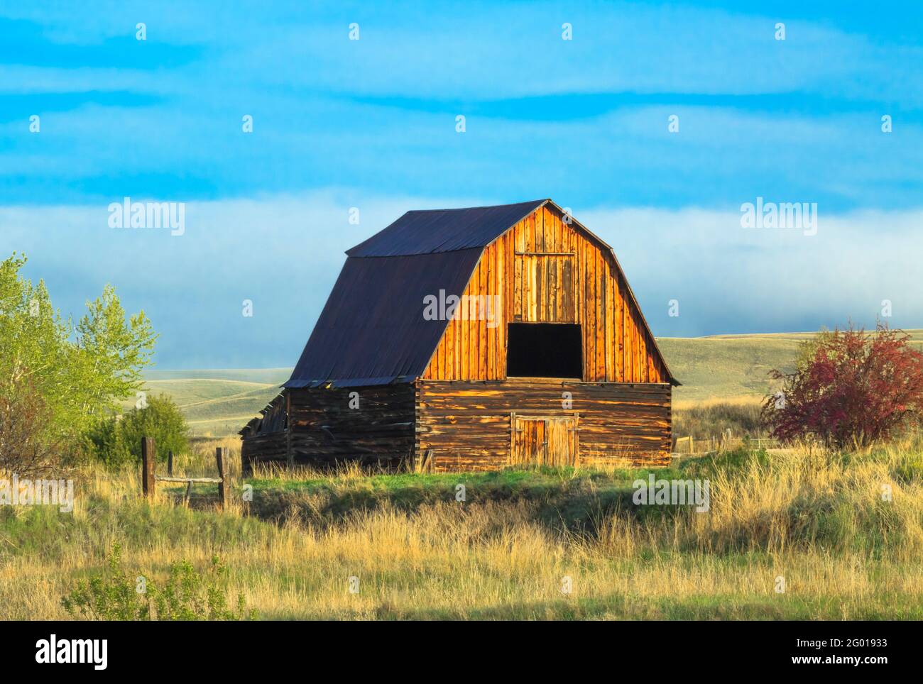 old log barn near jens, montana Stock Photo - Alamy