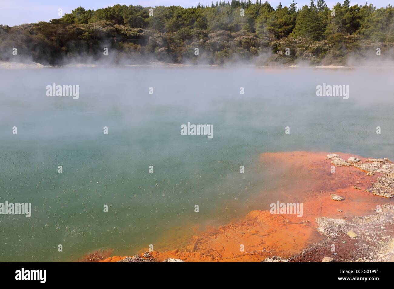 Wai-O-Tapu Thermalwunderland - The Champagne Pool / Wai-O-Tapu Thermal ...