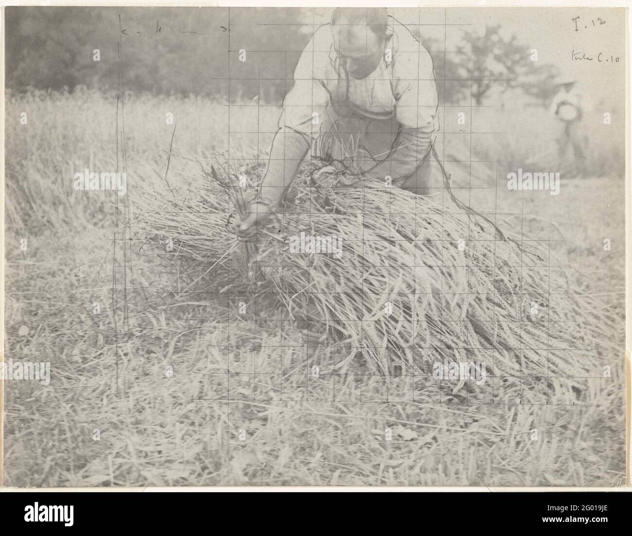 Boer who bundles corn sheaf (with grid in pencil Stock Photo - Alamy