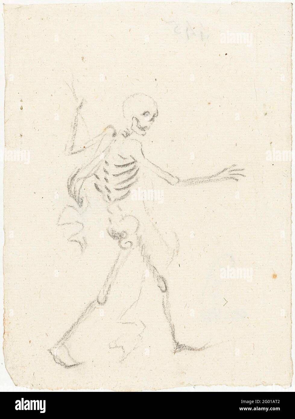 Human skeleton anatomy movement running hi-res stock photography and ...
