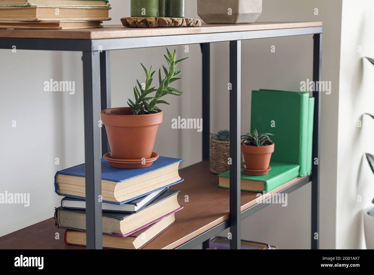 Interior of modern room with shelf unit, closeup Stock Photo - Alamy