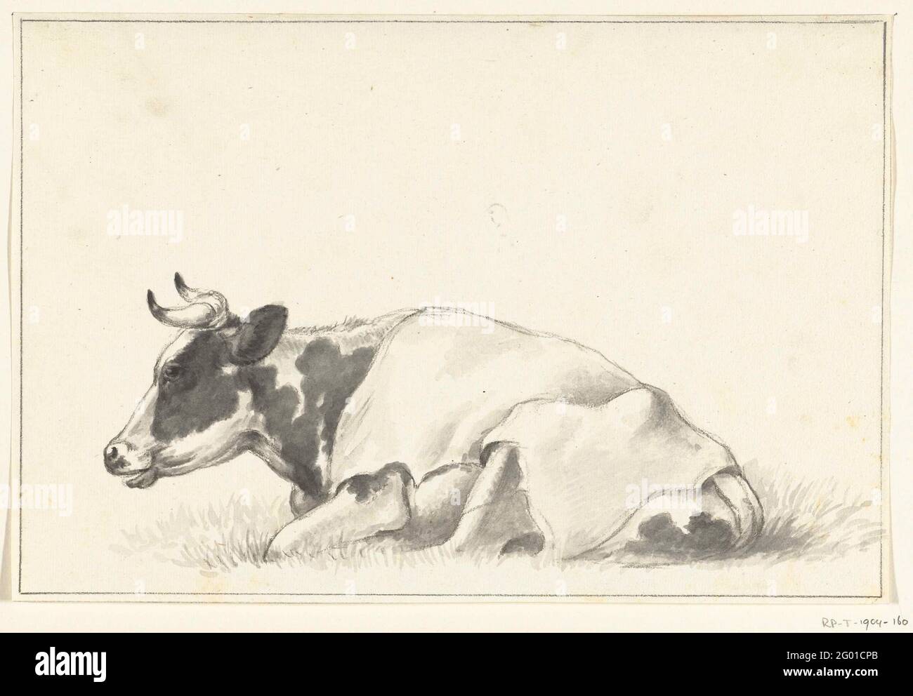 Lying cow, to the left Stock Photo - Alamy