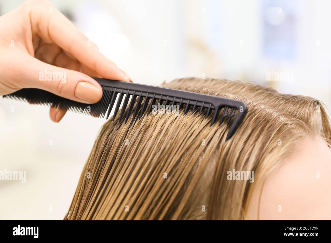 Female hairdresser combing wet hair of client in beauty salon, closeup ...