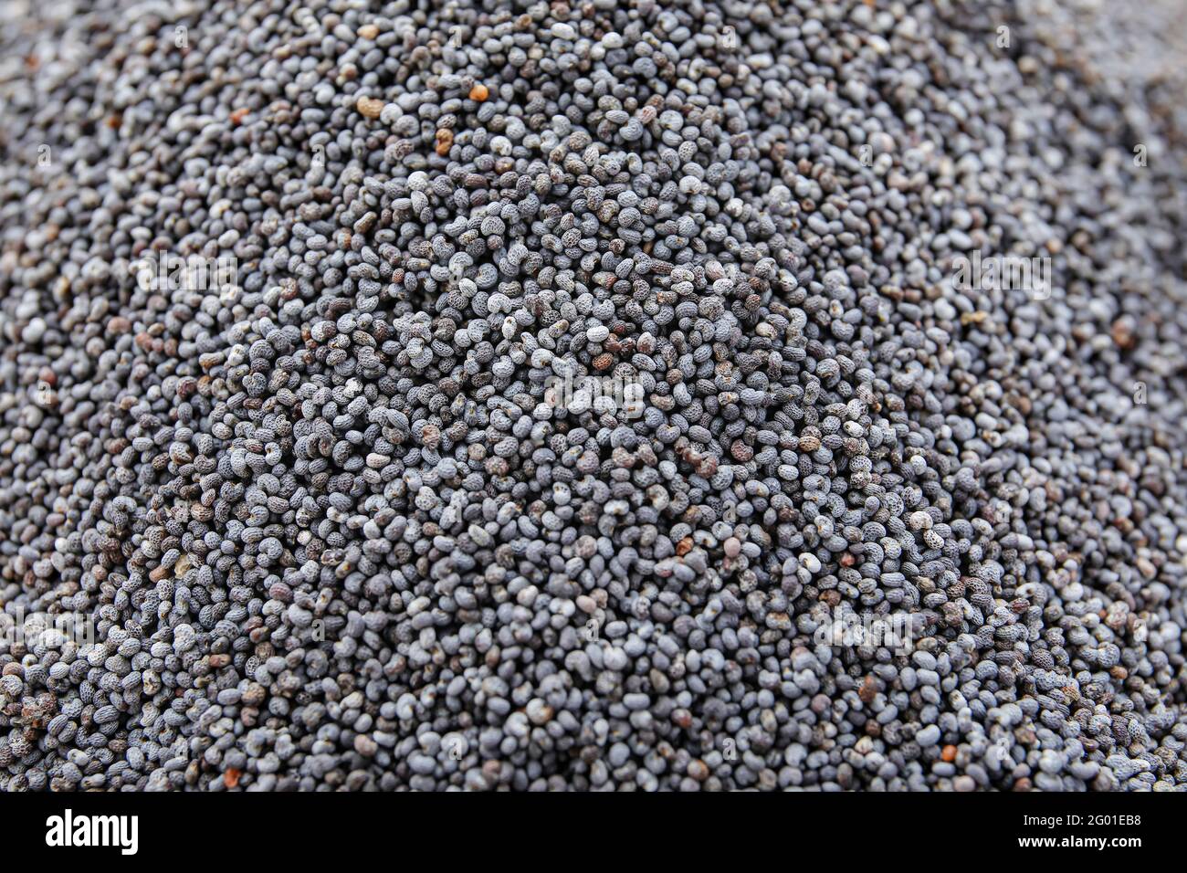 Texture of poppy seeds as background Stock Photo - Alamy